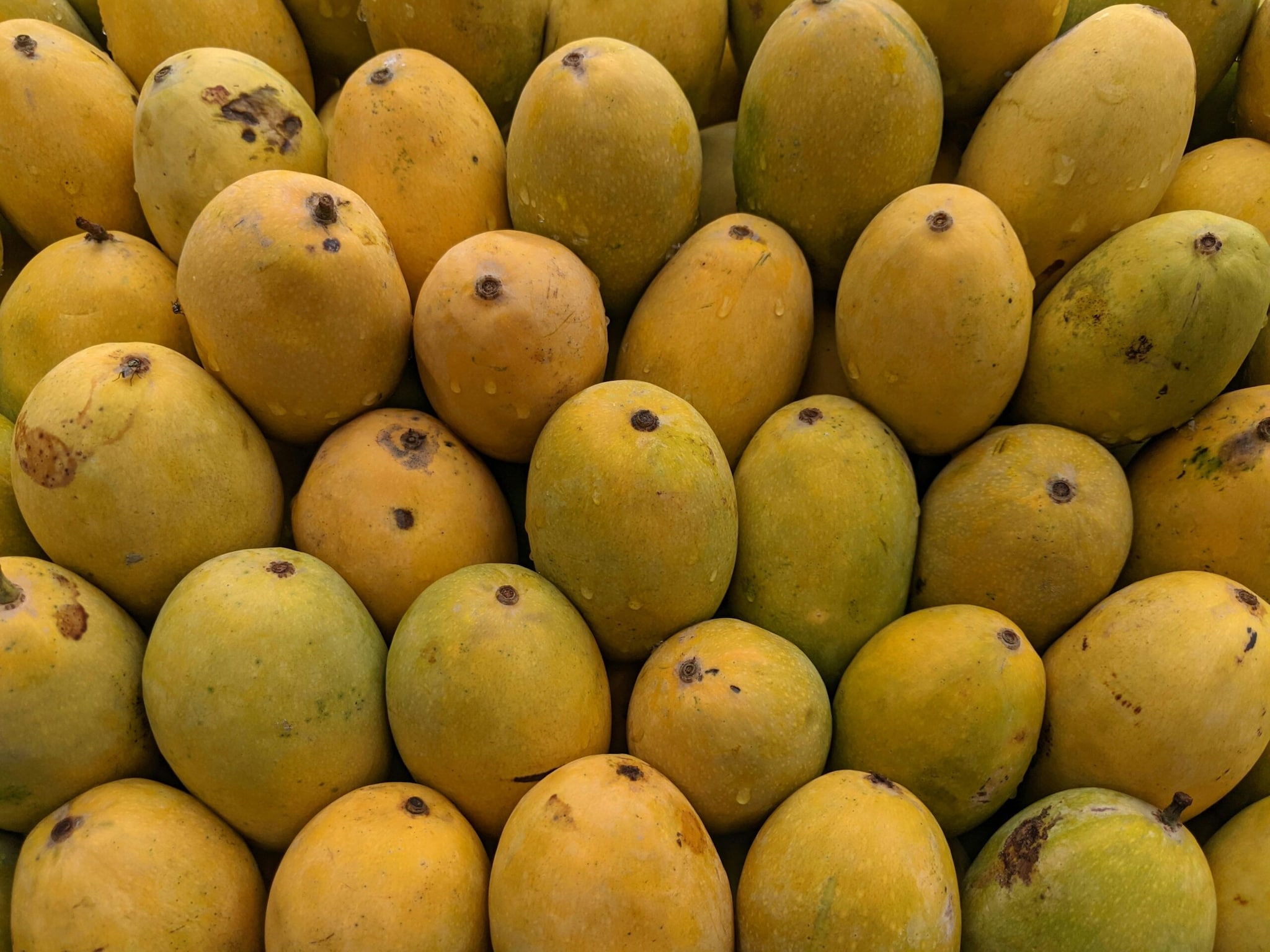 Tips And Tricks: How To Store Mango Pulp For A Long Time?