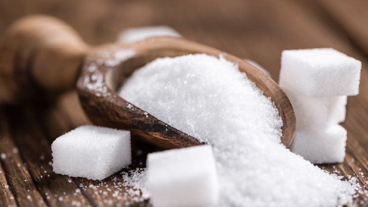 Balrampur Chini, Dwarikesh, EID Parry: Sugar Stocks Fall Over 3% After ...