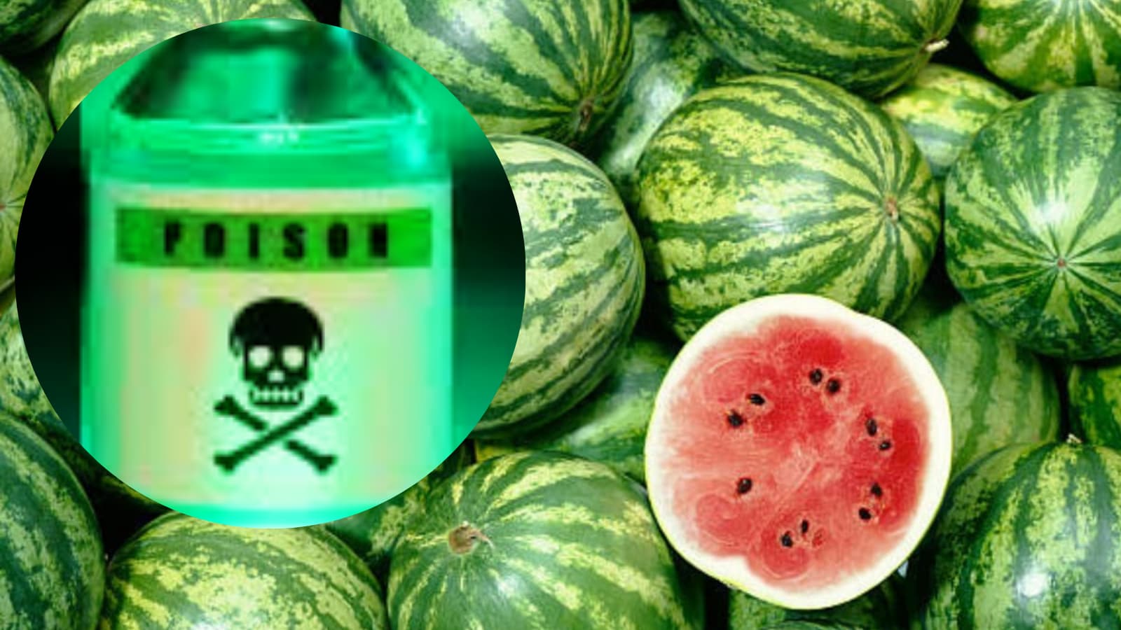 What Is Zinc Phosphide? Toxic Compound Behind Mumbai Watermelon Deaths ...
