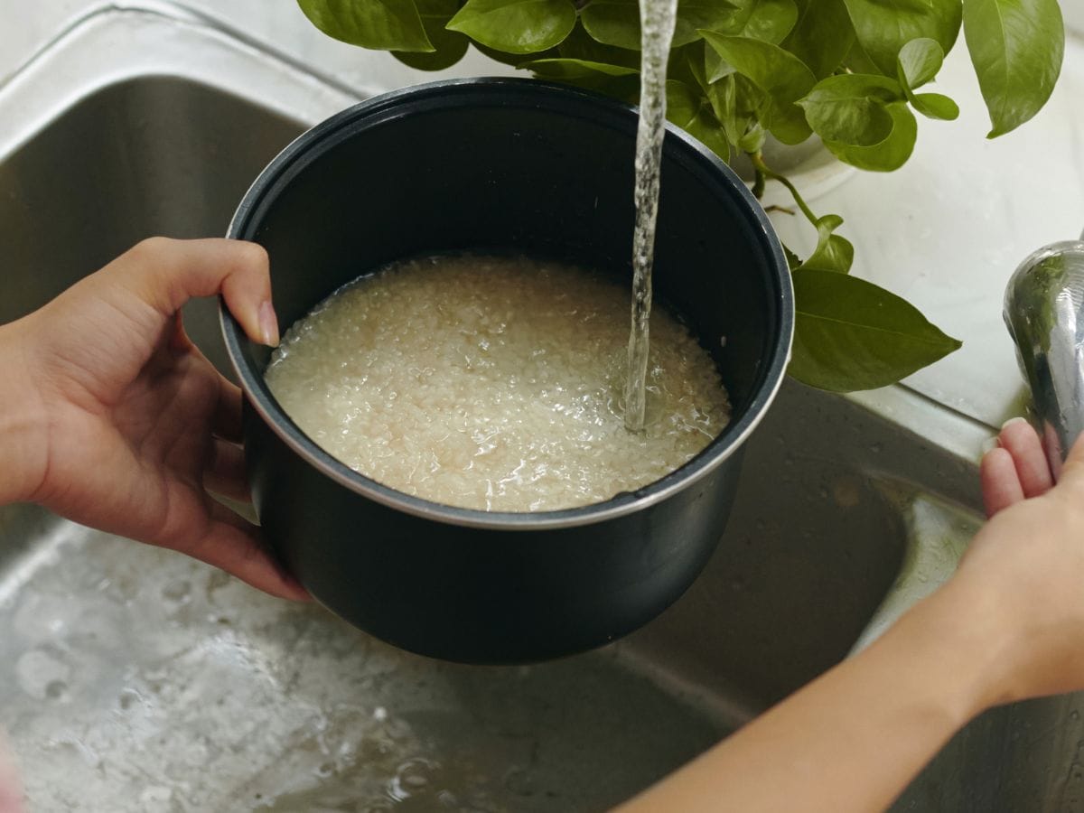 Do You Throw Away Leftover Rice Water? 6 Brilliant Ways To Use It ...