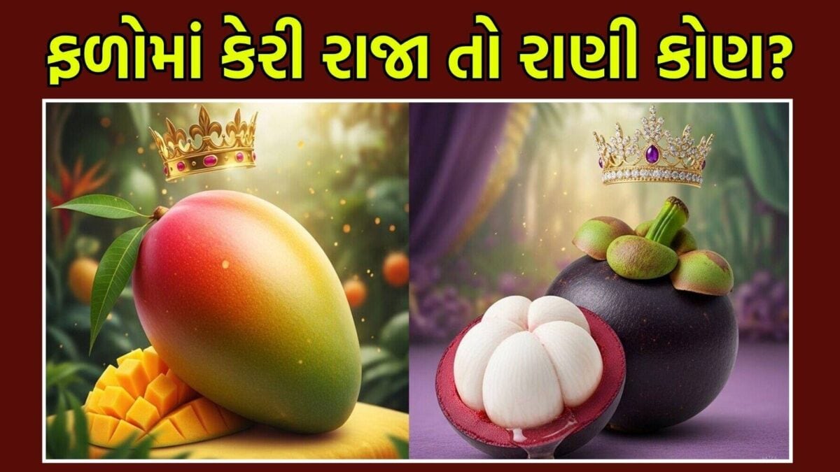 GK: If Mango Is The 'King', Which Fruit Is Known As The 'Queen' Of Fruits?