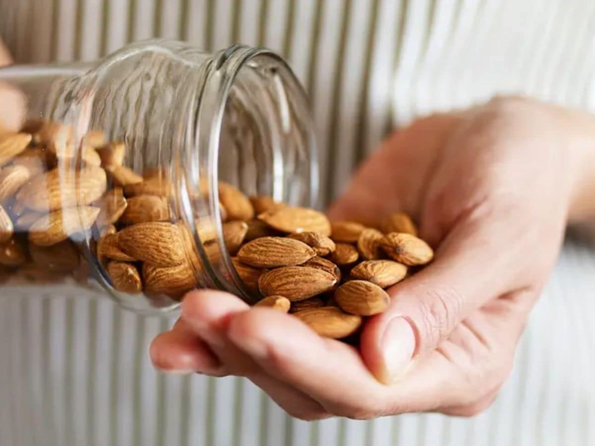 What Happens When You Eat Almonds Every Day? 10 Health Benefits Explained