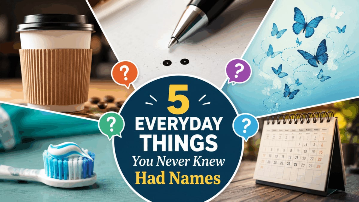 The Name Game: You've Seen These 5 Things Every Day, But Do You Know ...
