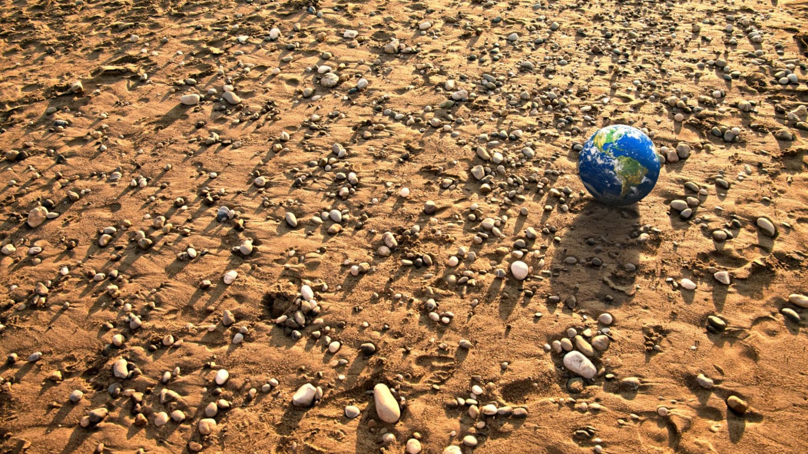 6 Facts About World Environment Day That Highlight Its Global Importance