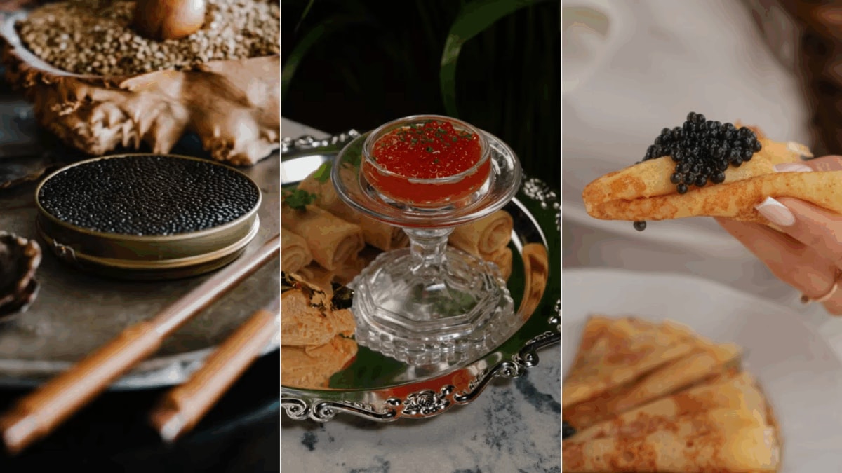 What Is Caviar And Why Does This Luxury Delicacy Cost So Much?