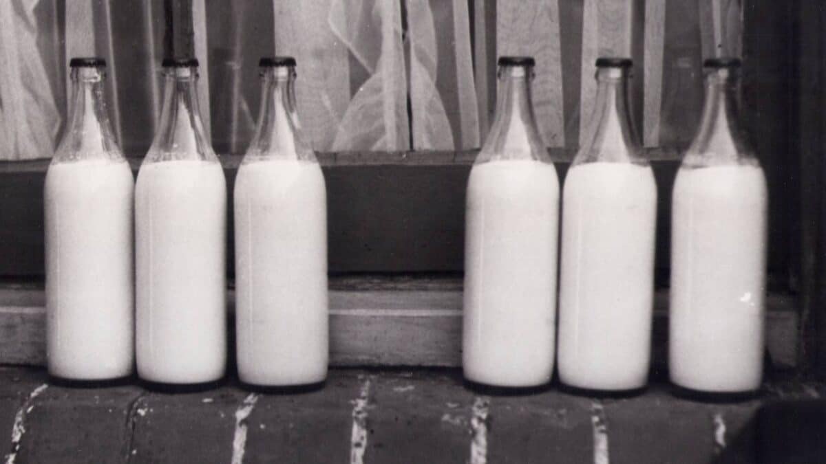 Goat Milk Vs Cow Milk: Which Is Easier To Digest?
