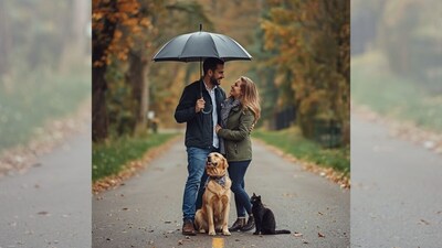 'Golden Retriever' Dating 'Black Cat'? The Matchmaking Formula Singles ...
