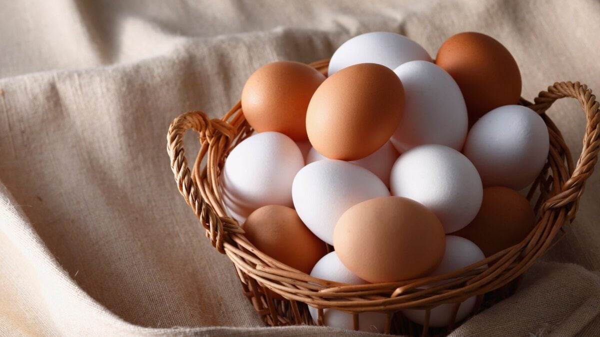 Should You Keep Eggs Outside The Fridge In Summer? Here's How Long They ...
