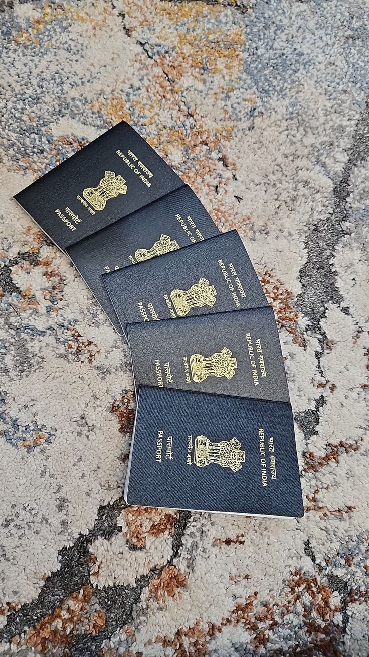 ECR Vs ECNR On Indian Passport: What Do These Terms Mean?