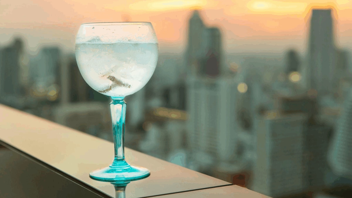 Why Gin Has Become The New Fashion Accessory For India's Style-Forward ...