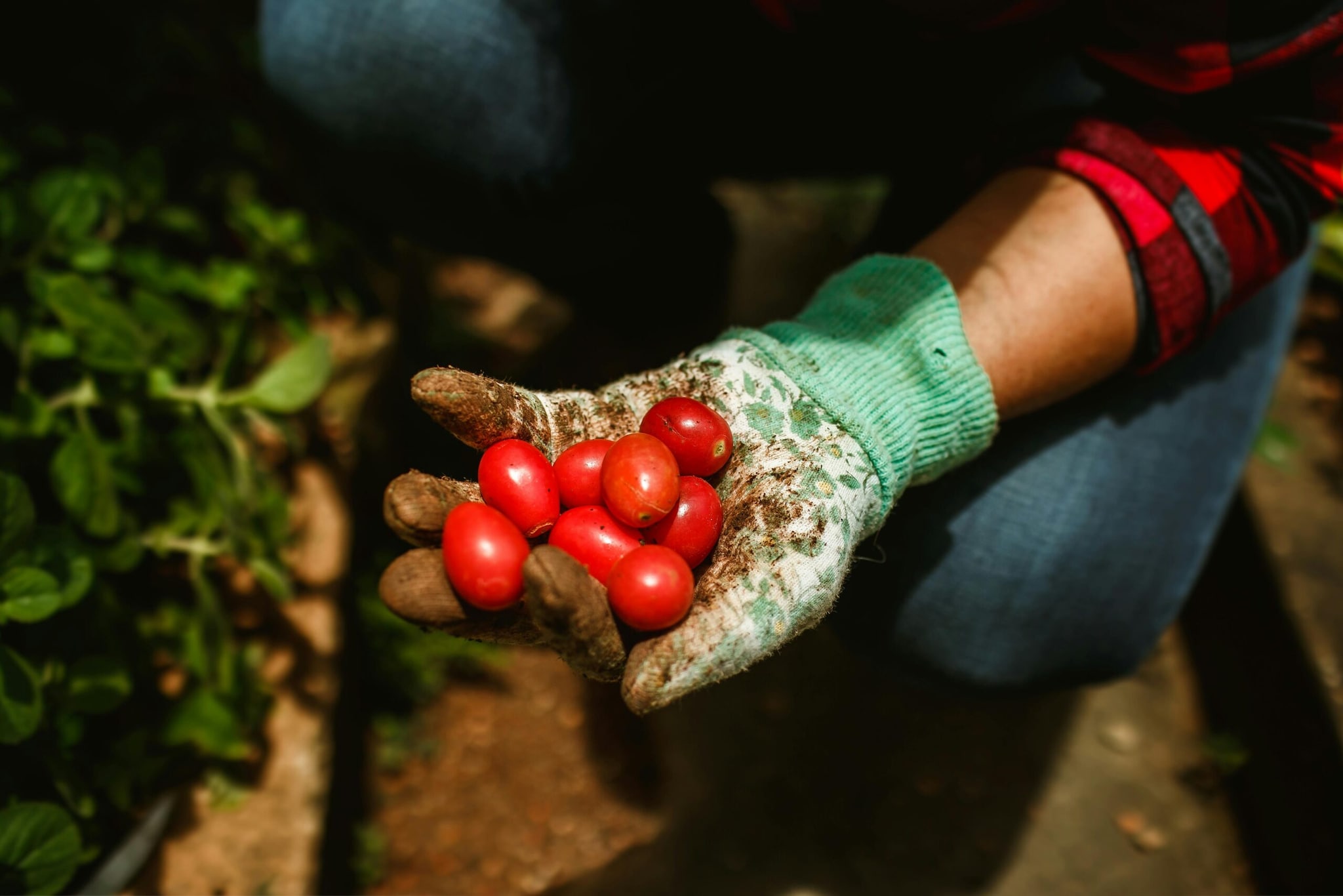 10 Simple Steps To Start Organic Gardening At Home