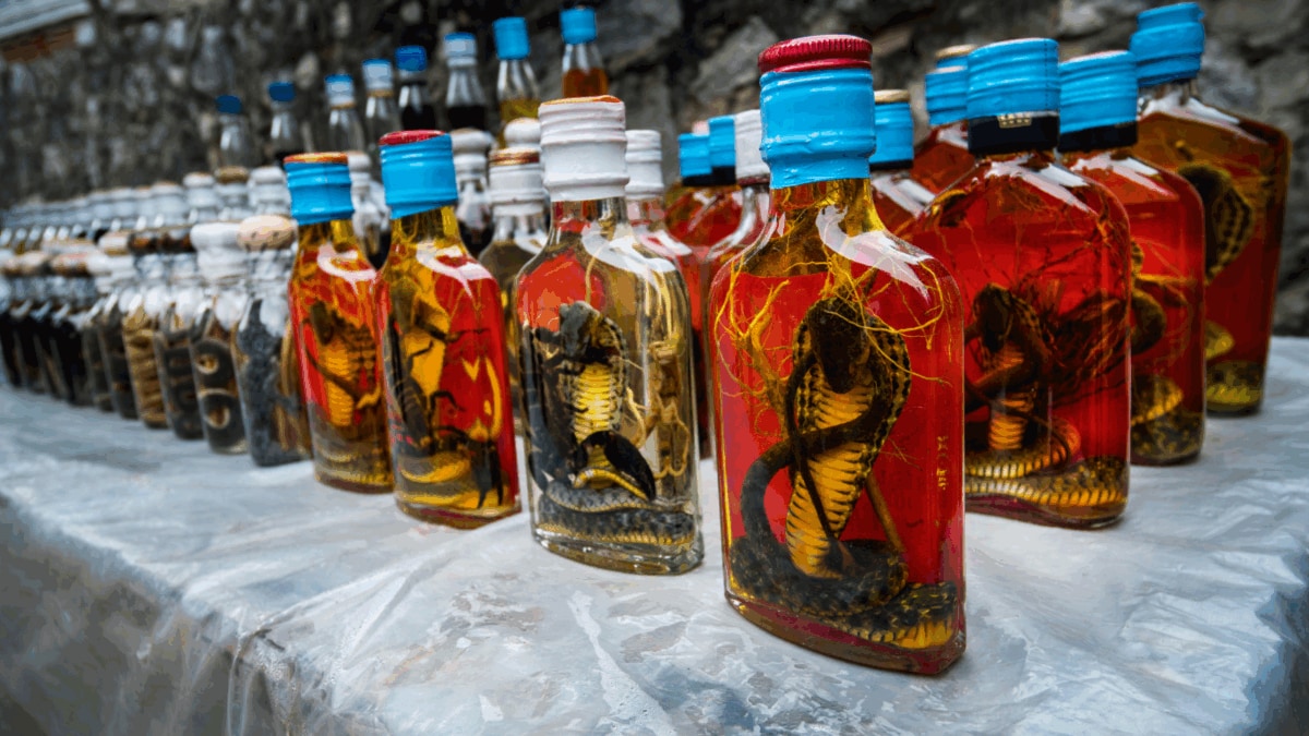 Snake In A Bottle? The Bizarre Alcohol That Has Been Around For Centuries