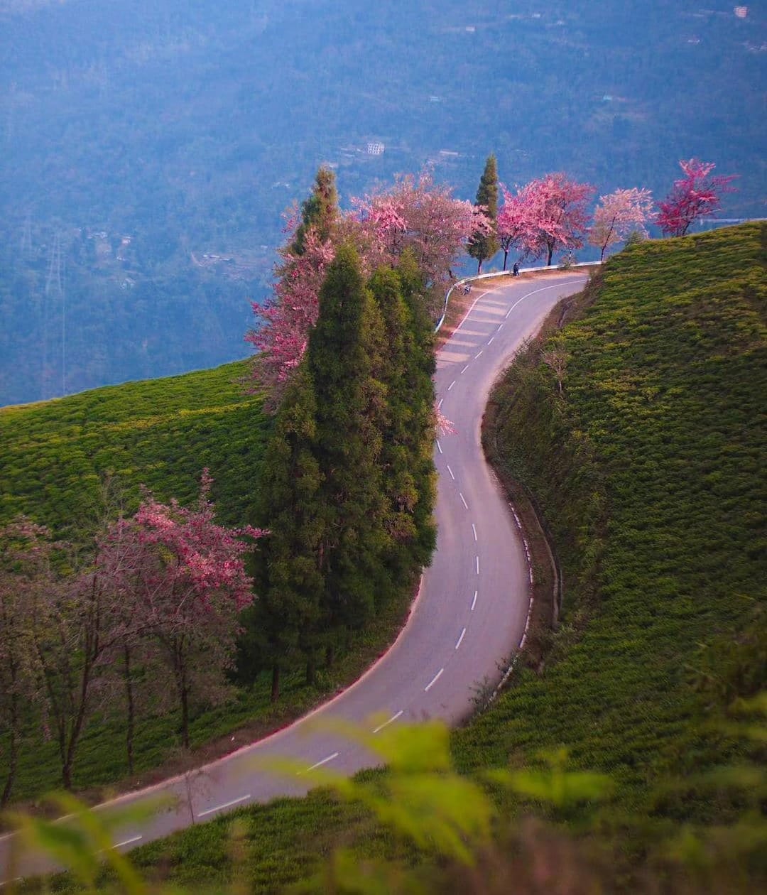 World Environment Day 2026: This Indian State Was The First To Ban ...