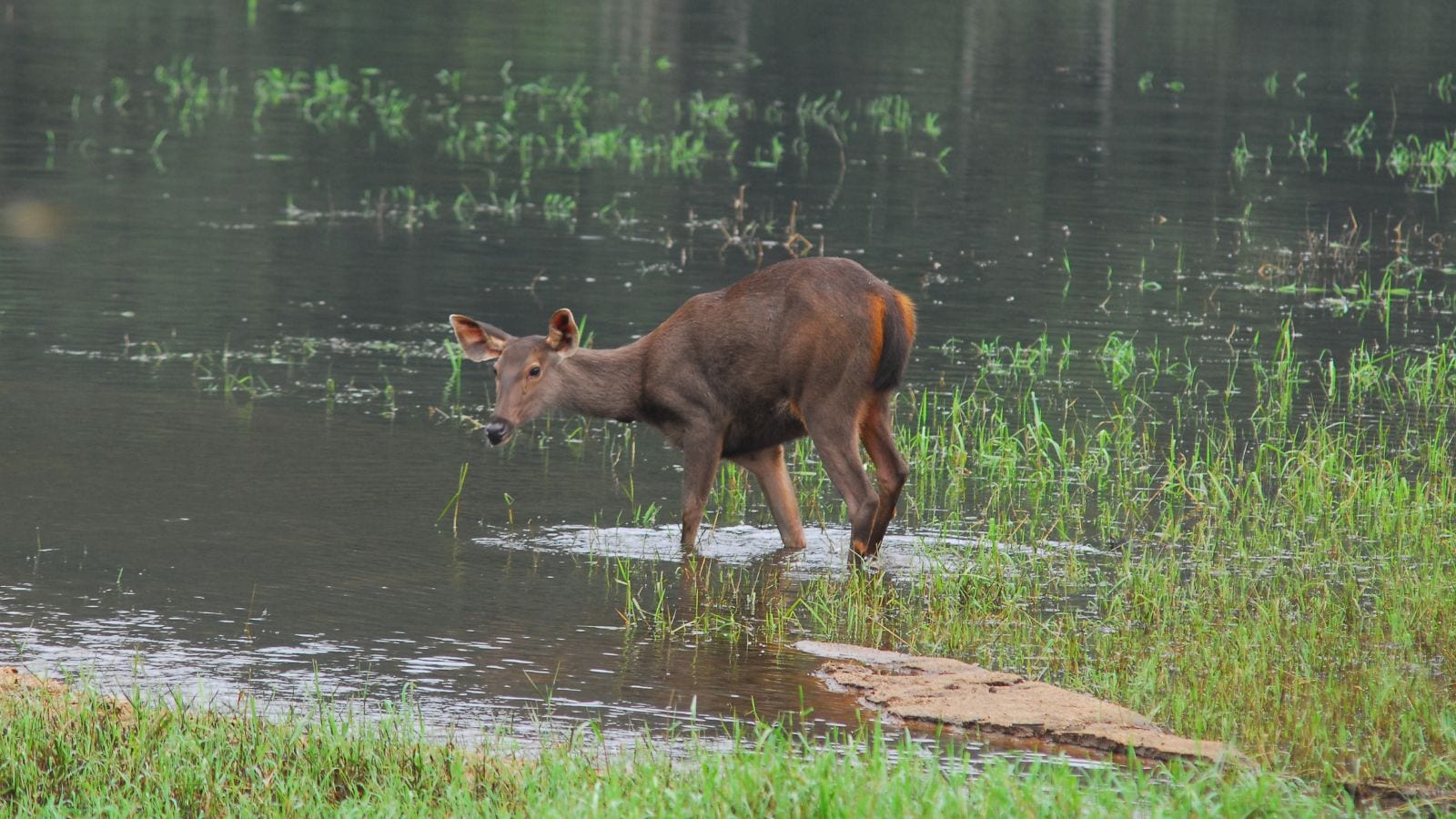 Monsoon In Kerala: 7 Stunning Places You Shouldn't Miss