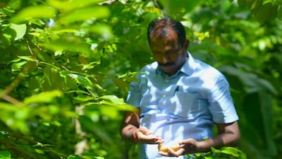 'Save Soil' Calls For Policy Support To Expand Tree-Based Farming On ...