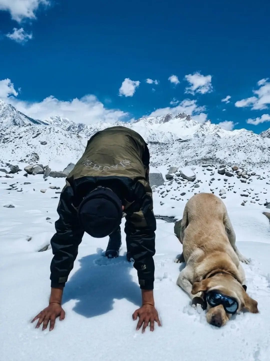In Pictures: Indian Army And Sniffer Dogs Mark Yoga Day In Sub-Zero Siachen