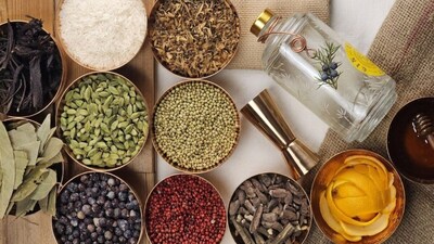 World Gin Day 2026: Deodar, Palash And Himalayan Juniper: Indian Gins ...