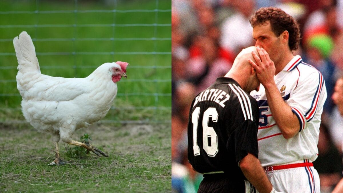 Fifa World Cup 2026: From Magic Chickens To Lucky Kisses, 5 Mind ...