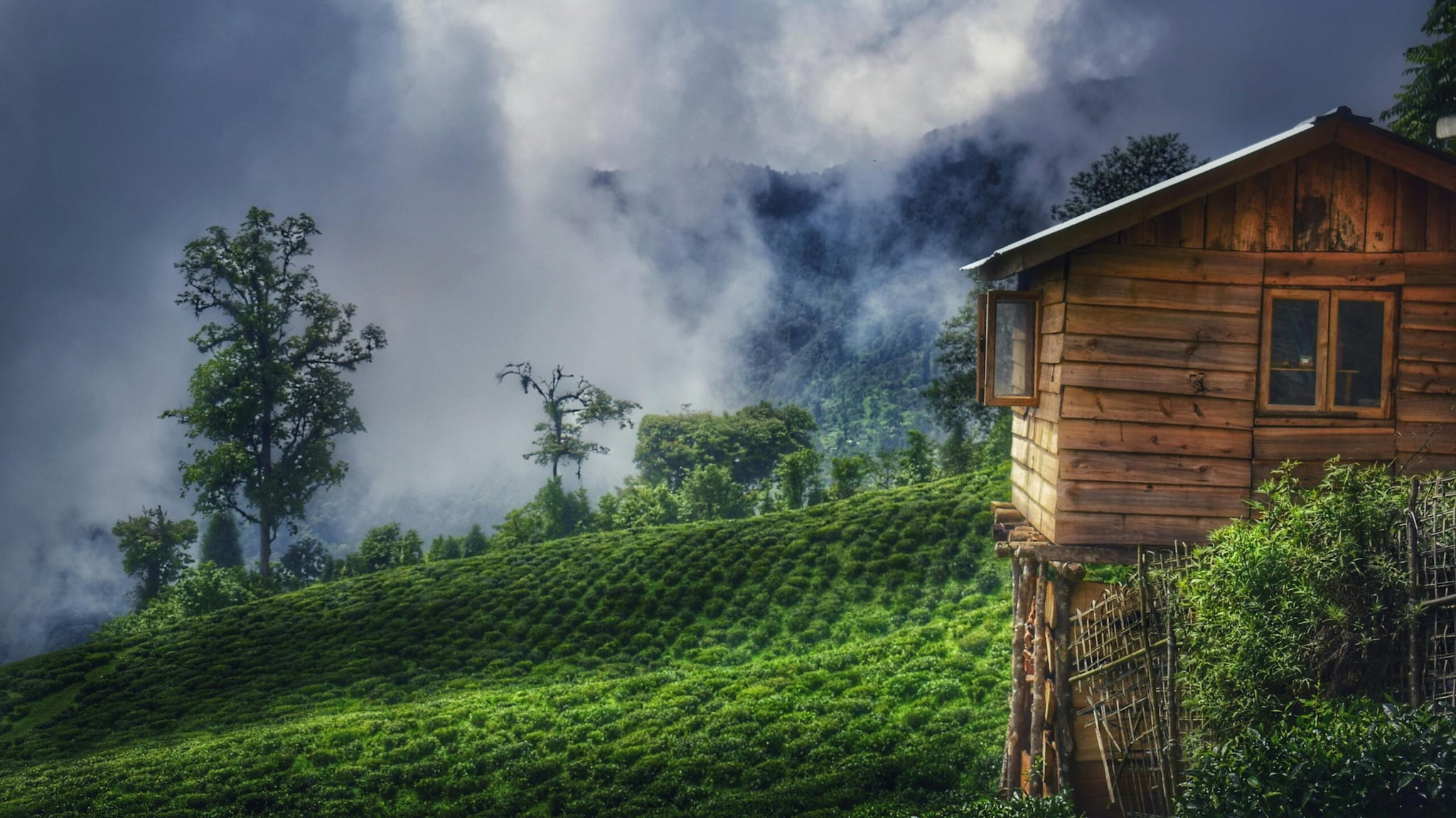 World Environment Day 2026: This Indian State Was The First To Ban ...