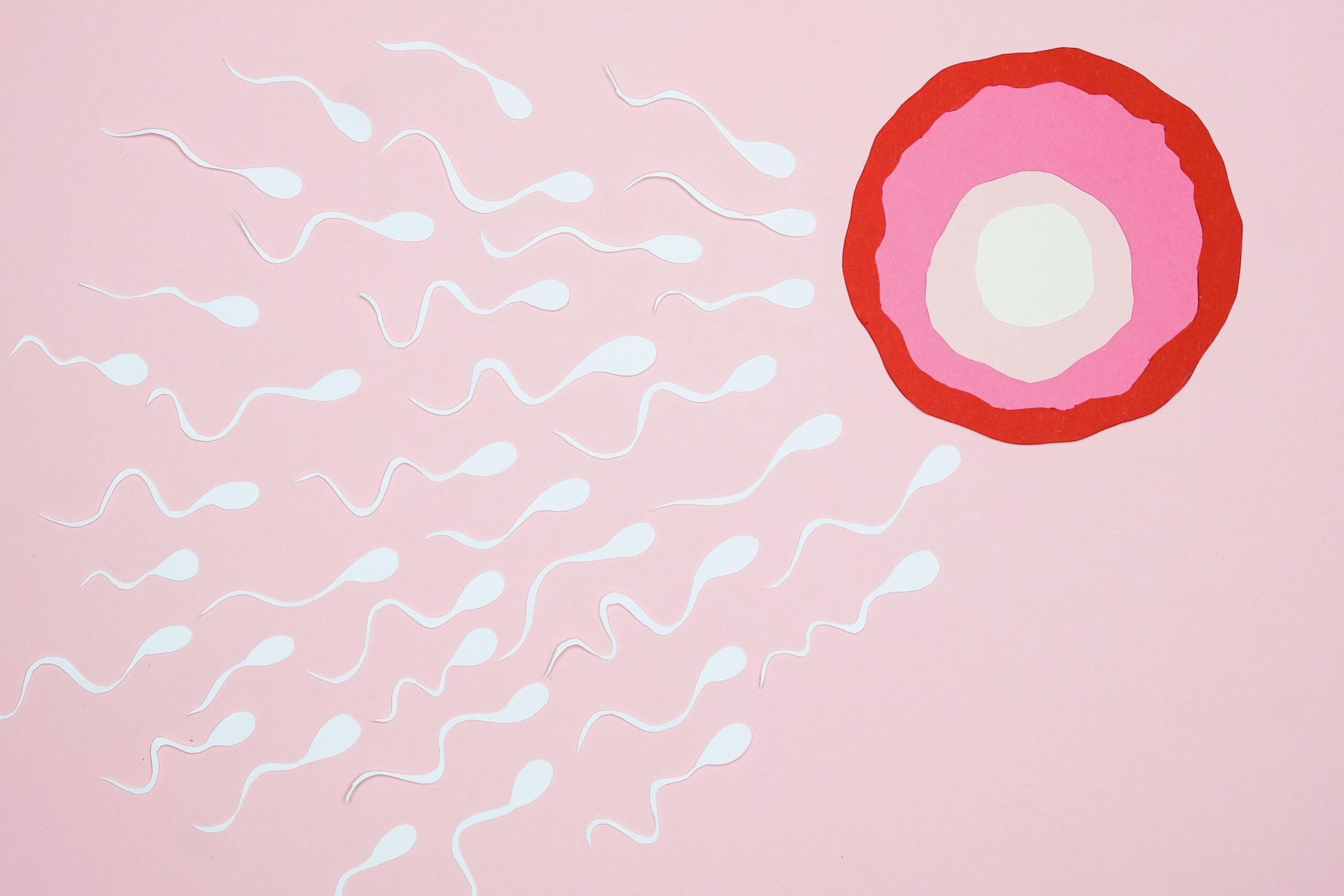 GK: From Periods To Ovulation, How Well Do You Know The Menstrual Cycle?