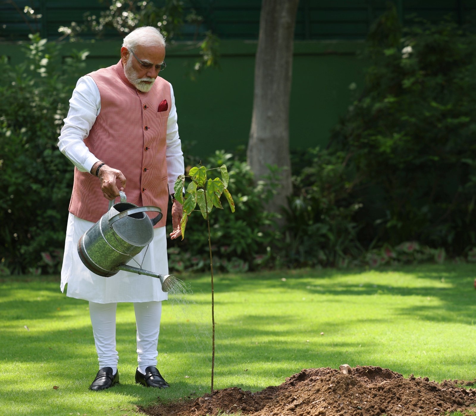 World Environment Day 2026: PM Modi’s Green Initiatives, Climate Goals ...