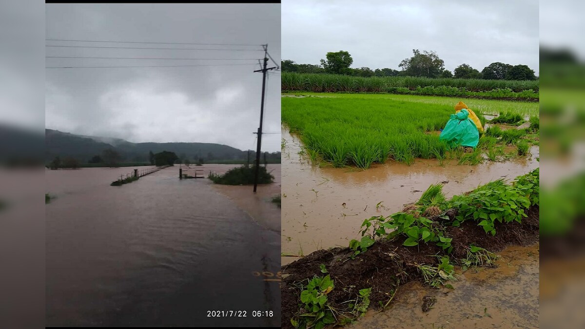 Kolhapur Rain Live Video: कोल्हापुरात पावसाचं थैमान; NDRFची टीम रवाना, अनेक महामार्ग बंद ...