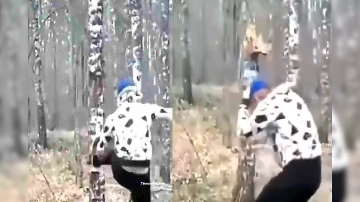 एका किकमध्ये झाड पाडलं पण दुसऱ्याच क्षणी फुटलं तरुणाचं टाळकं; Shocking ...