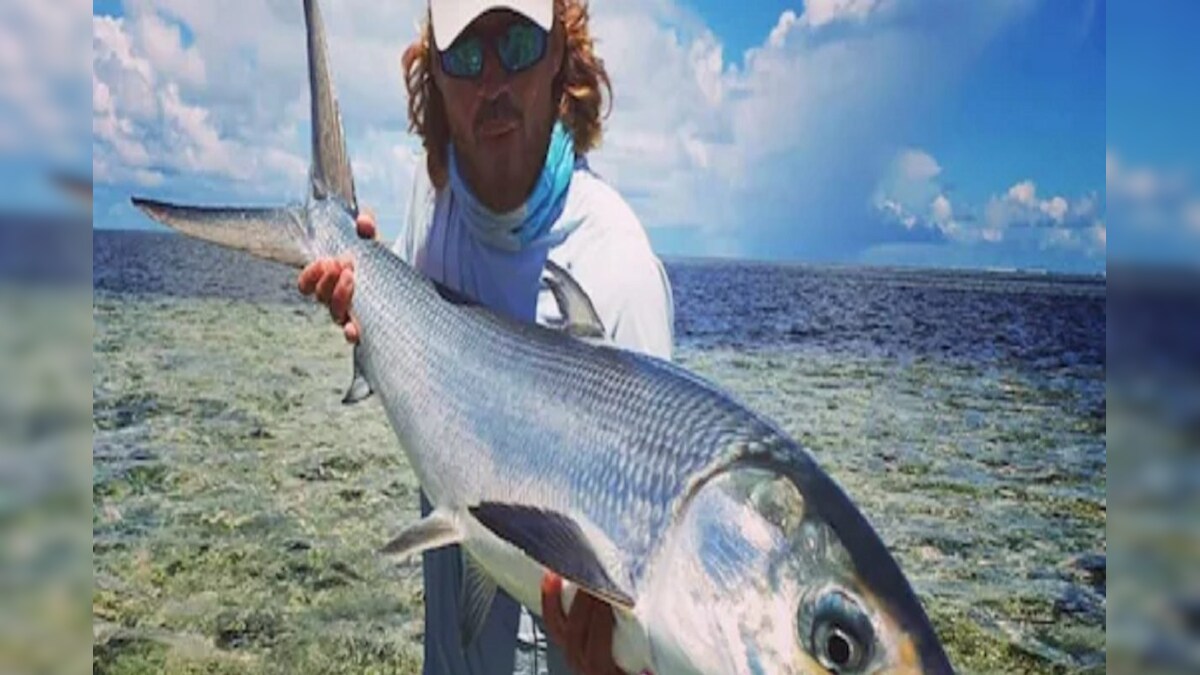 Yuck! पाहताच उलटी येईल पण म्हणे लागते टेस्टी; चक्क माशांच्या ...