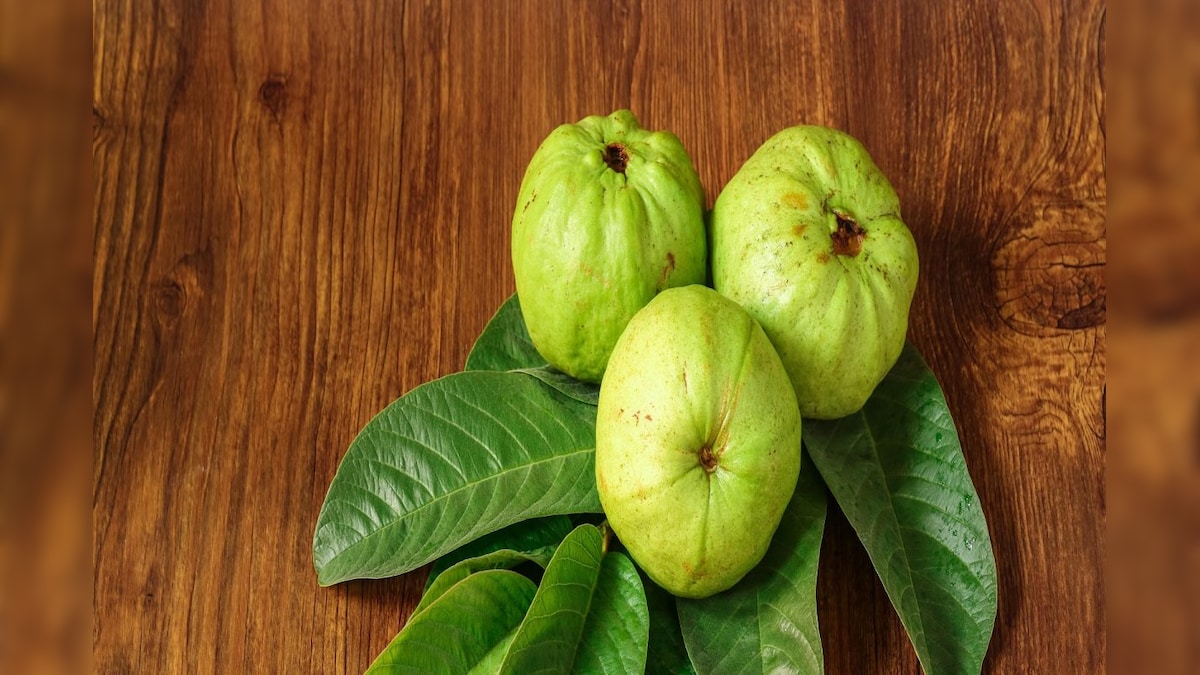 How to make hair long guava leaves are very beneficial for hair health ...