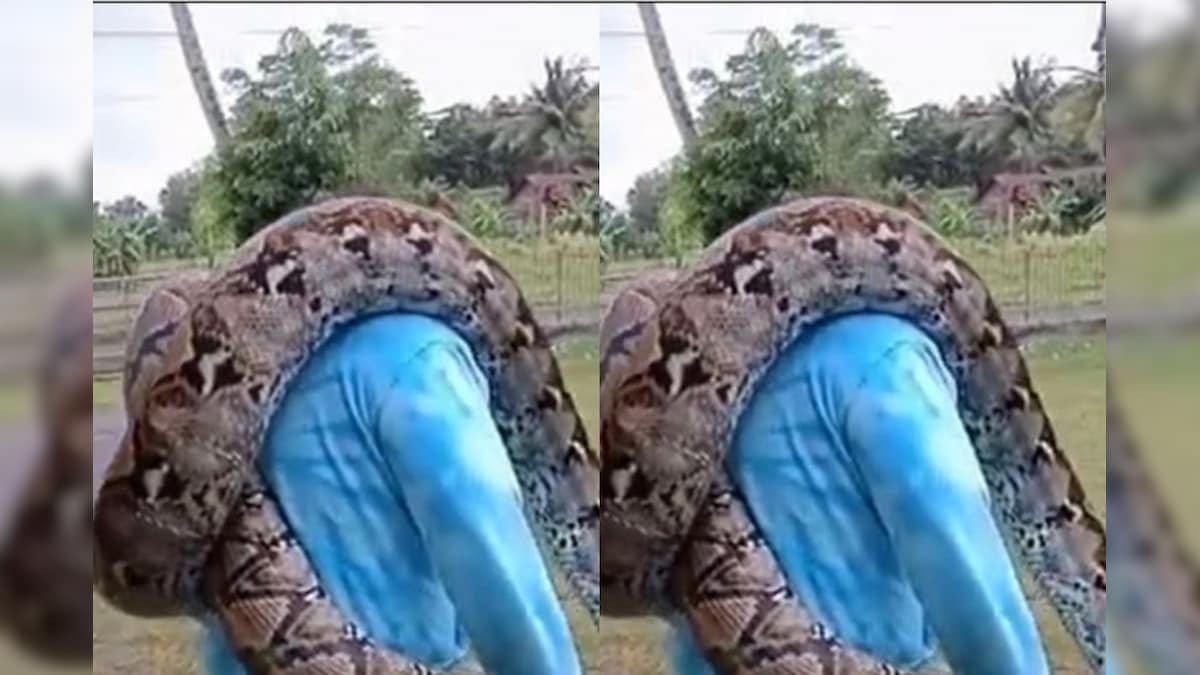 Man started walking around with a python wrapped around neck गळ्यात ...