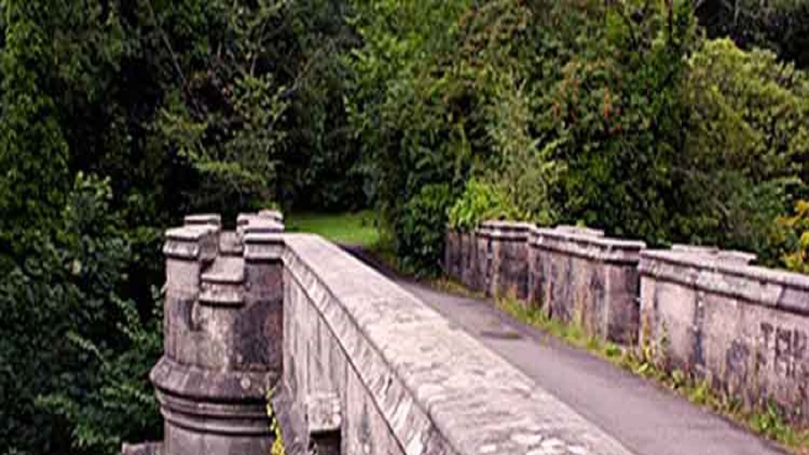 Scotland dog suicide bridge pets keep leaping into scottish gorge ...