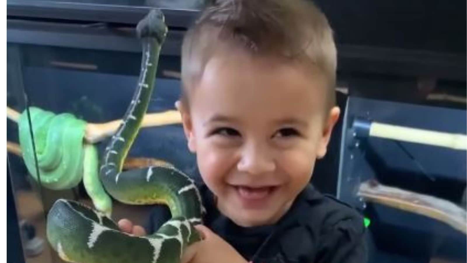 Kid playing with snake shocking video goes viral on social media mhkp ...