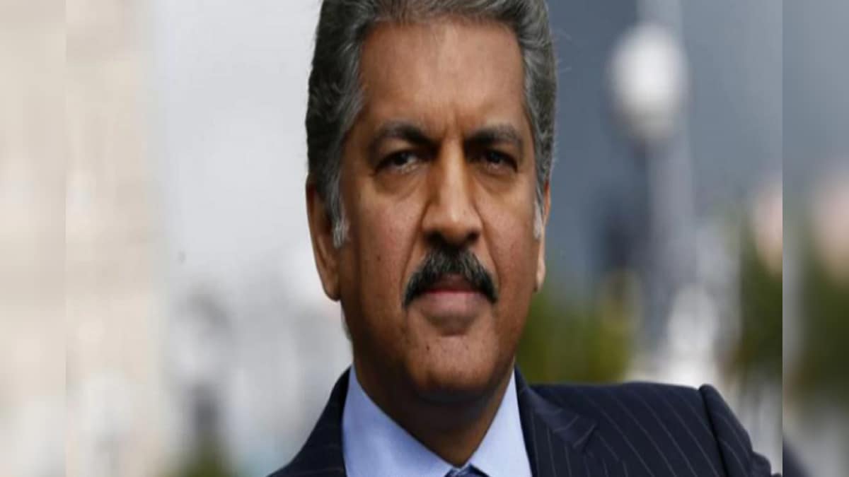 Anand mahindra shares a video of a bird protecting its eggs from ...