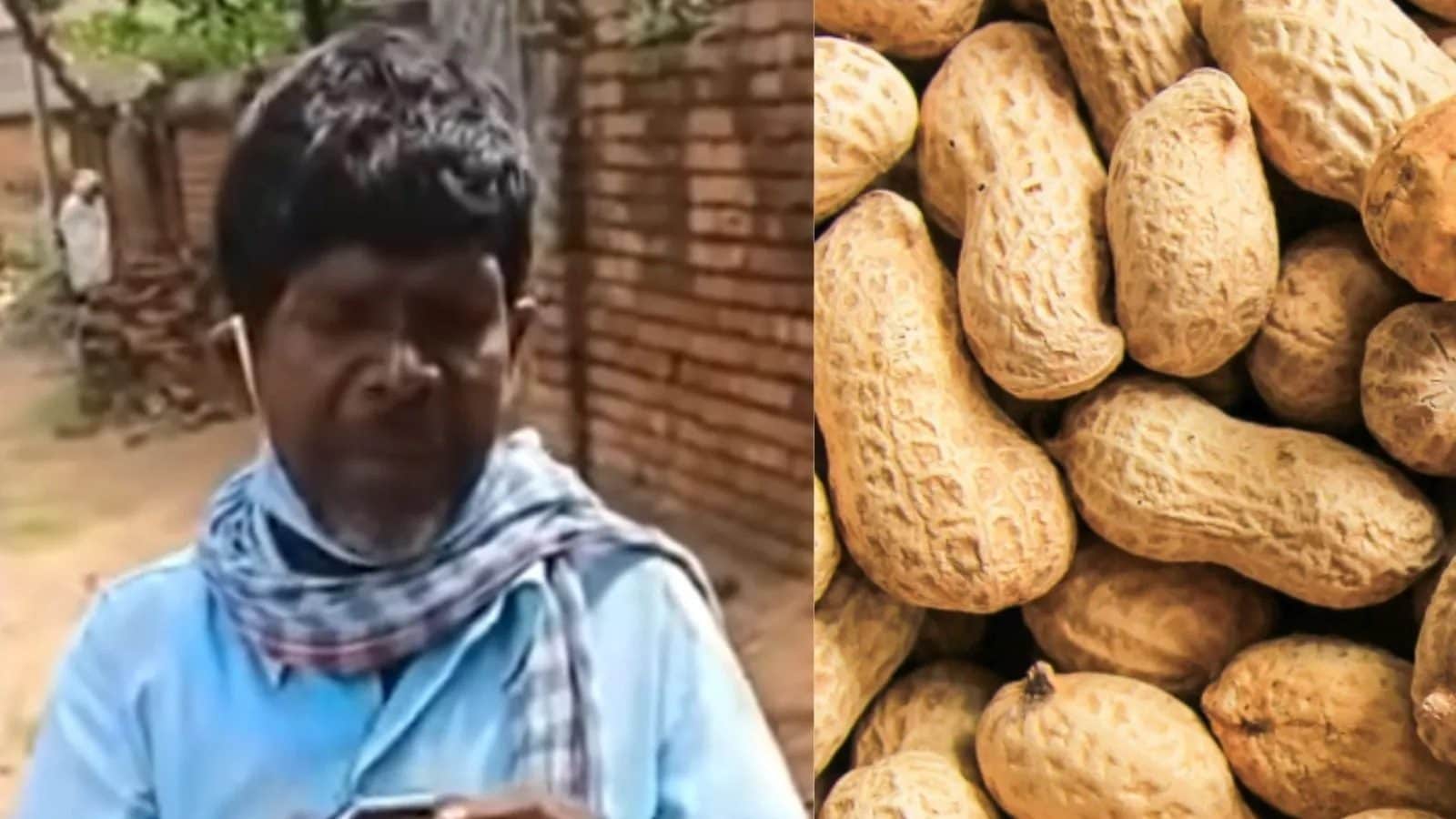 Kacha badam singer - Kacha Badam: 'आता मी सेलेब्रिटी झालोय'! कच्चा ...