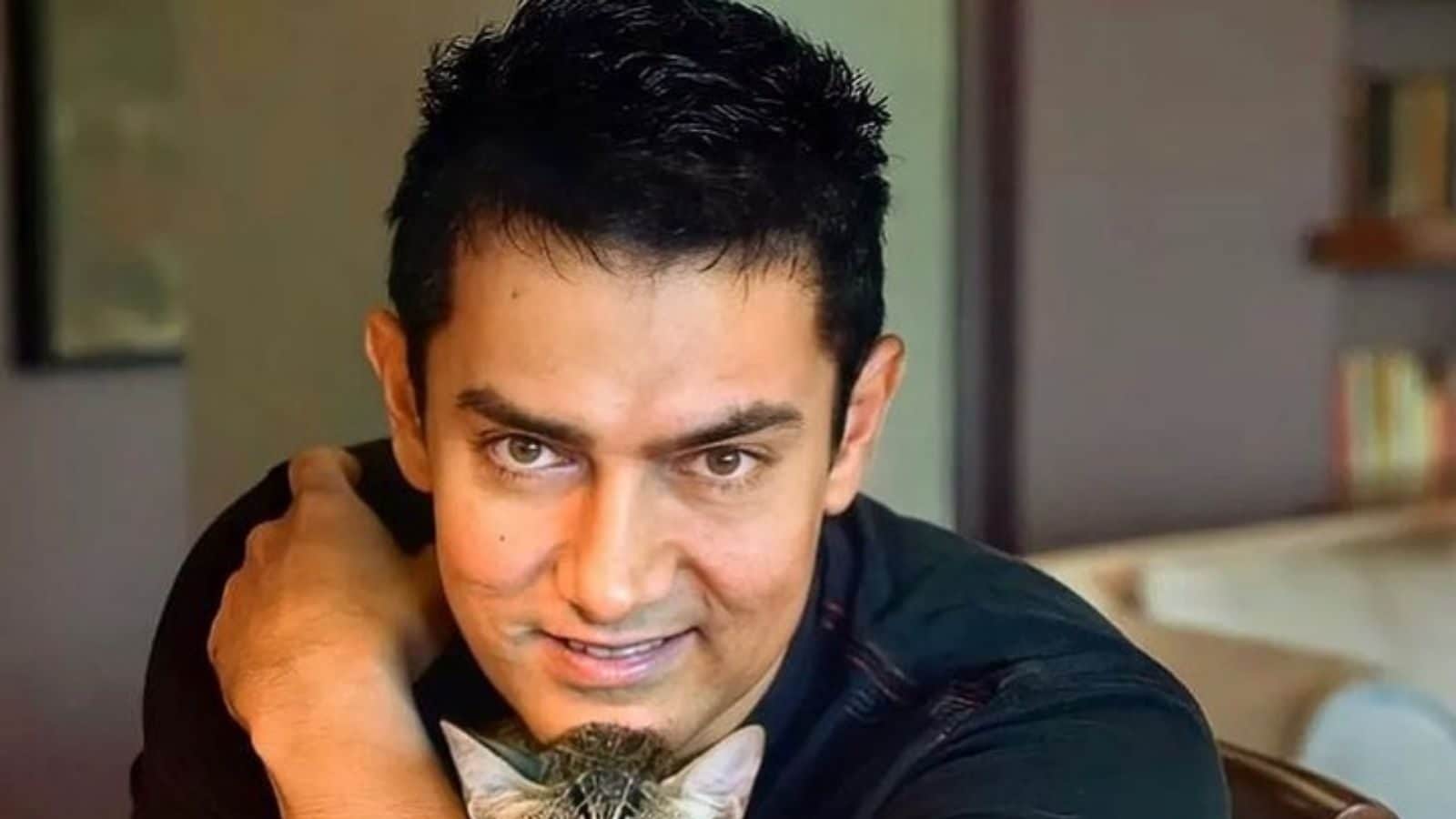 Bollywood actor aamir khans sister nikhat khan ready to her tv debu ...