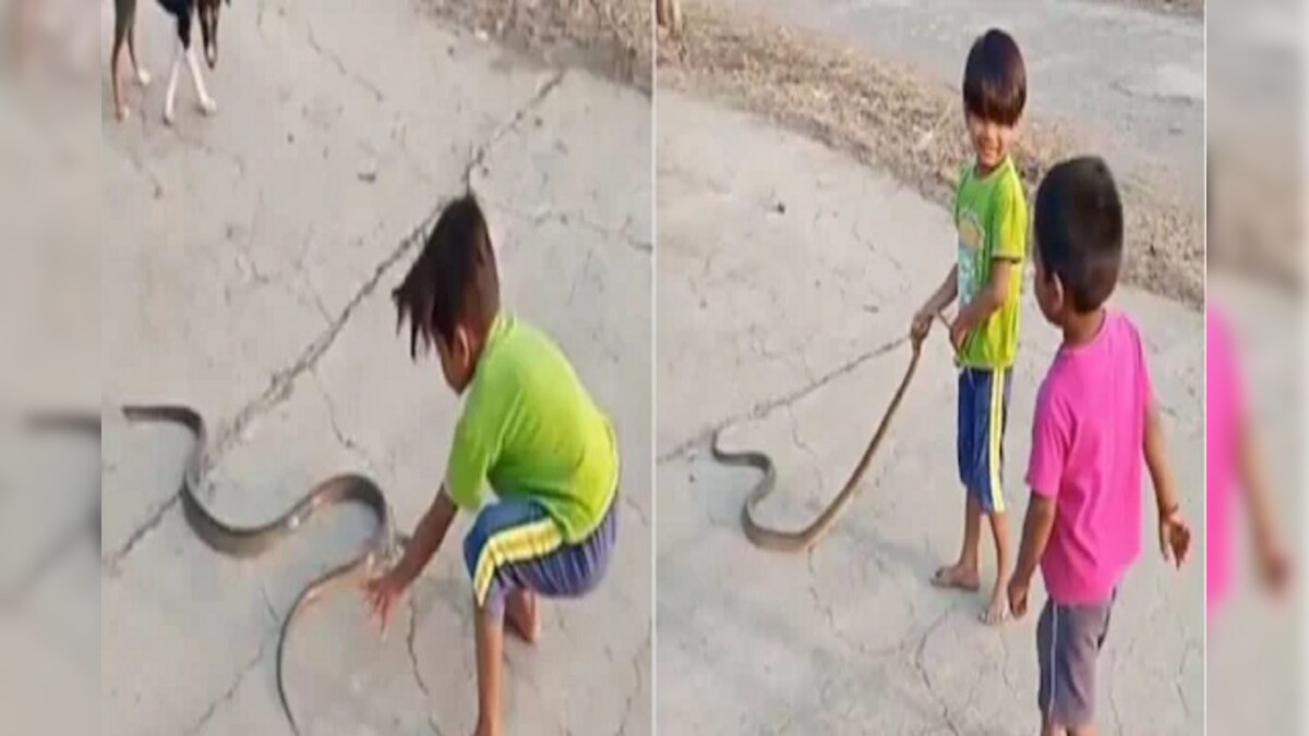 Little boy child playing with big snake video viral people shocked mhpl ...