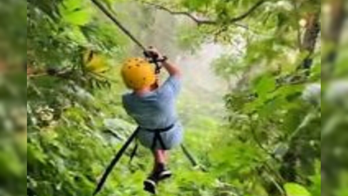 Little boy zip lining in jungle weird animal come infront of him video ...