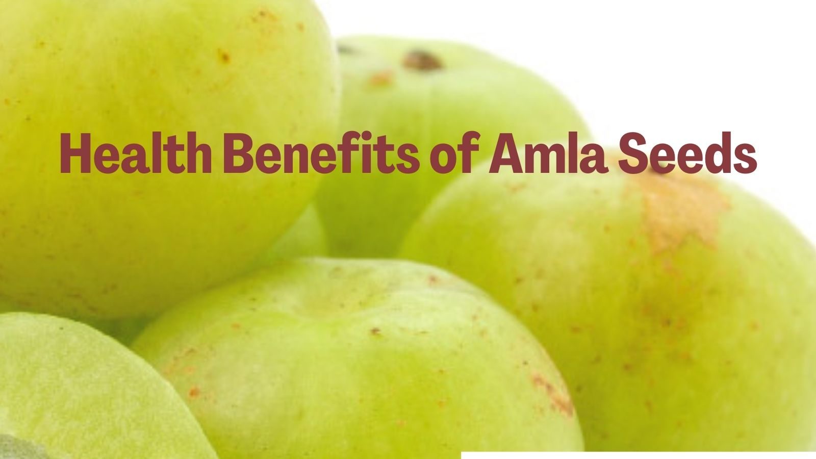 Medicinal properties of amla indian gooseberry seeds health benefits of ...