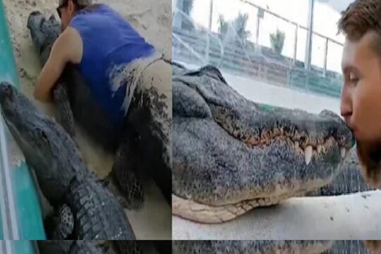Man kissing and hugging crocodile scary romance video viral man vs wild ...