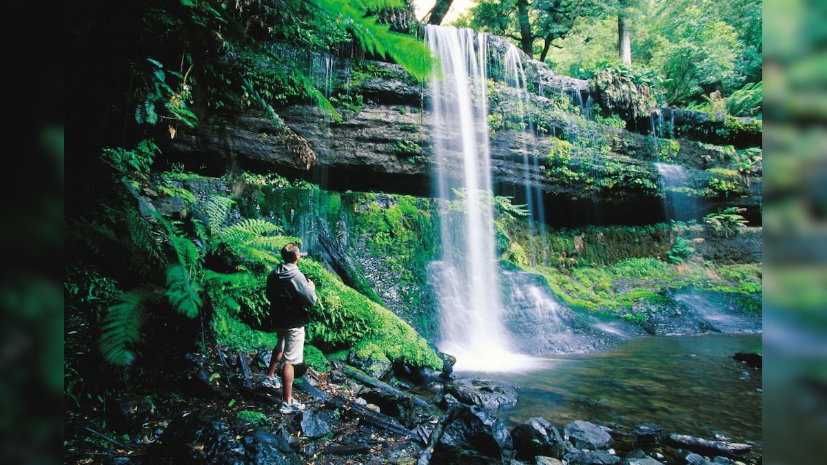 These are the 4 highest waterfalls of india must visit these places ...