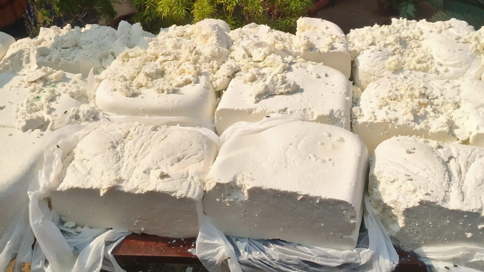 Pune Fake Paneer Punekar beware of fake paneer market food and drug ...