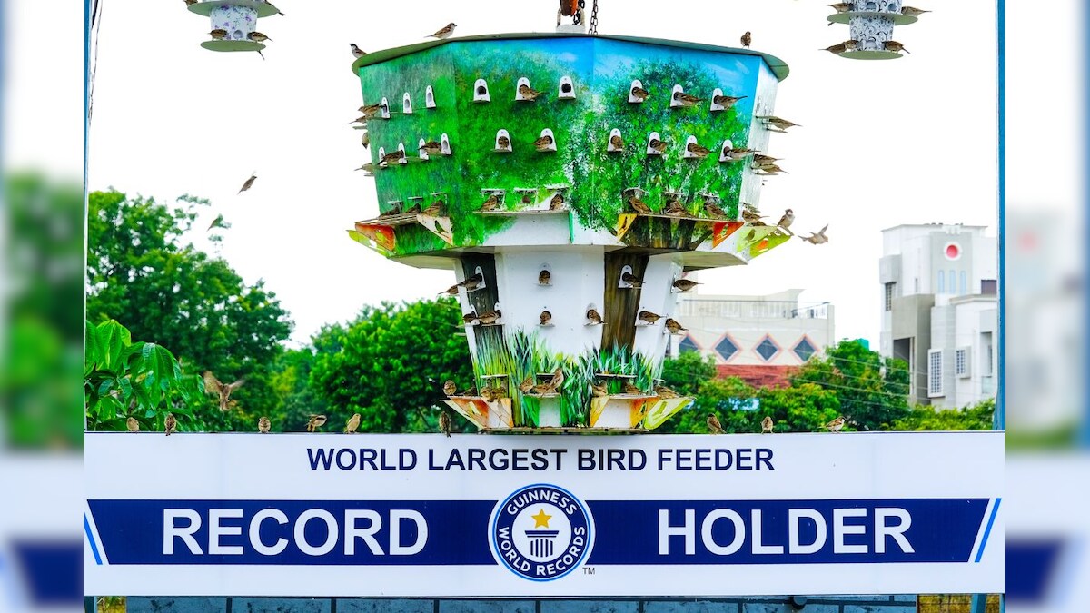 nashik haresh shah has built the world's largest bird feeder and has ...