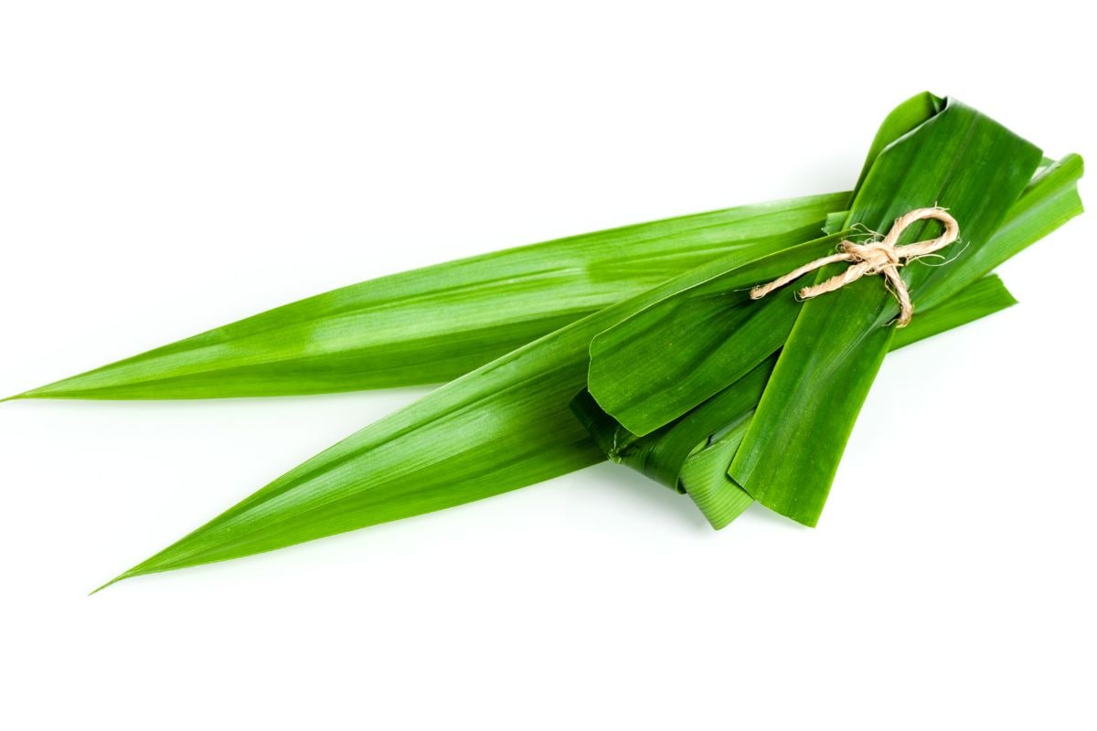 भात शिजवताना त्यात टाका ही पानं, साध्या तांदळालाही येईल बासमतीचा सुगंध ...