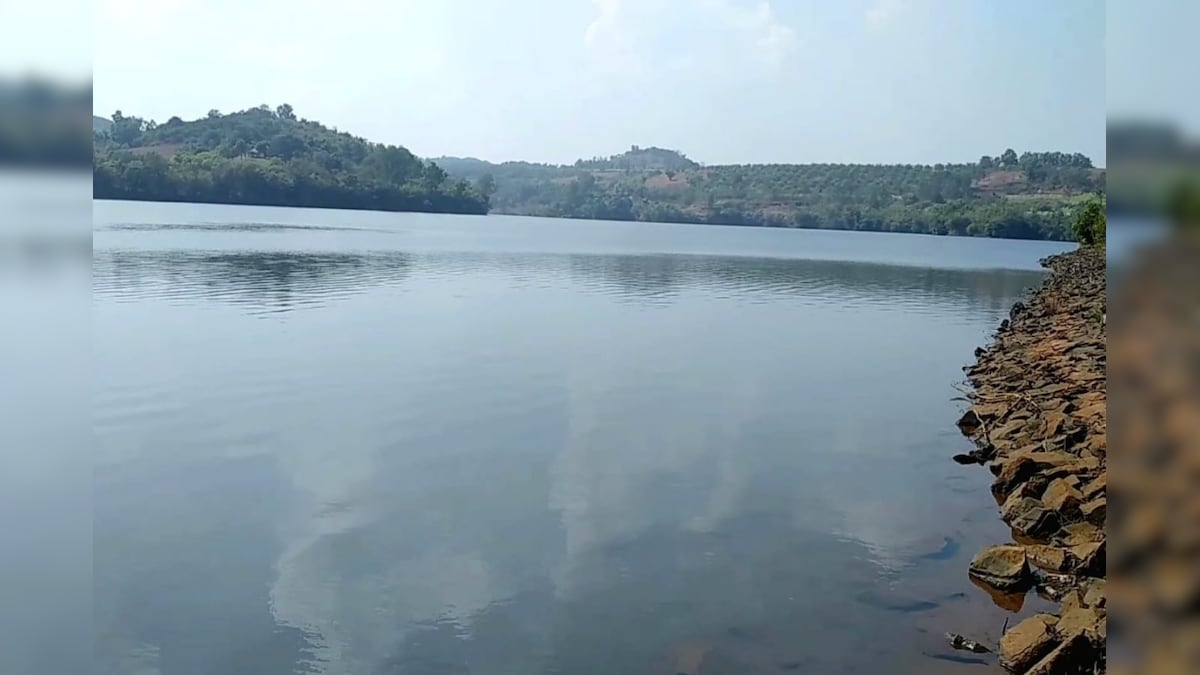 Live Updates : कोल्हापुरात चार ते सहा जूनदरम्यान शेतीसाठी पाणी उपशावर ...