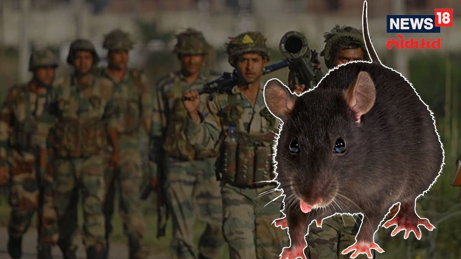 आता 'उंदीर' सैन्यात दाखल होणार! DRDO चा हा प्रोजेक्ट शत्रूंसाठी काळ ...