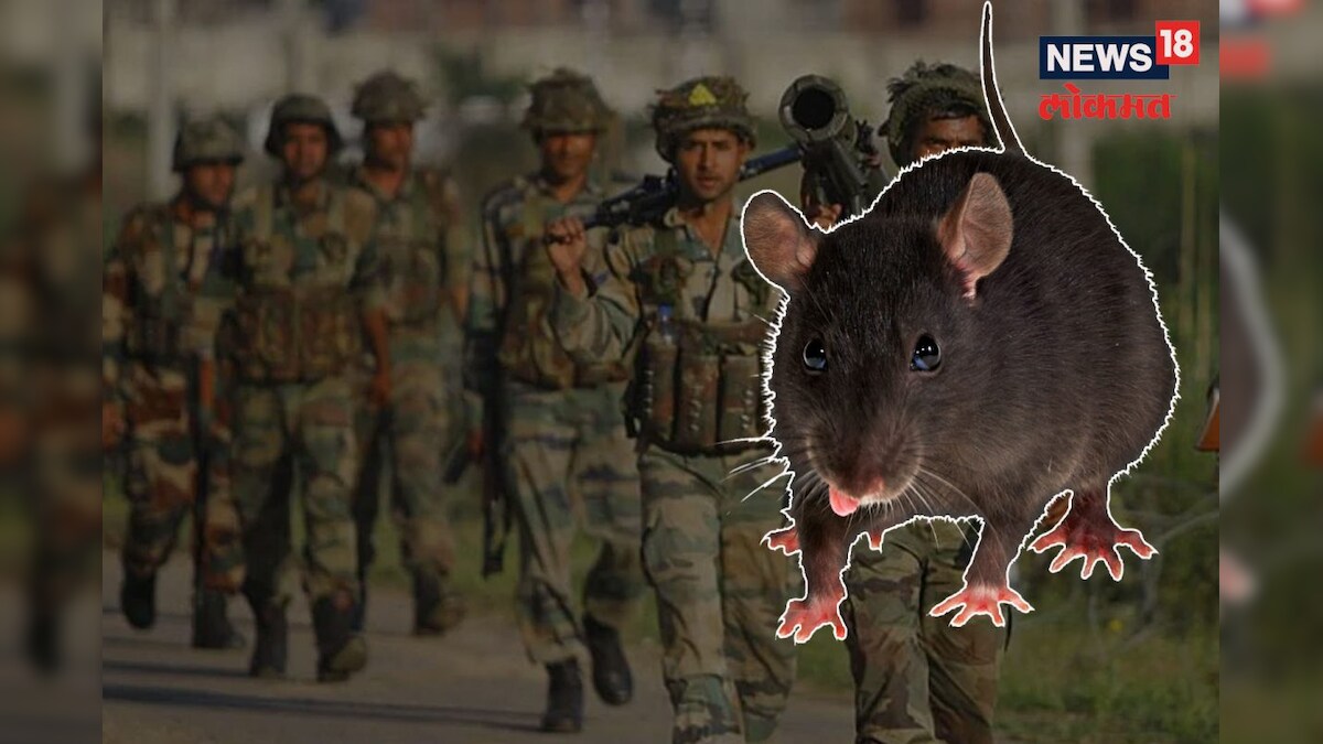 आता 'उंदीर' सैन्यात दाखल होणार! DRDO चा हा प्रोजेक्ट शत्रूंसाठी काळ ...
