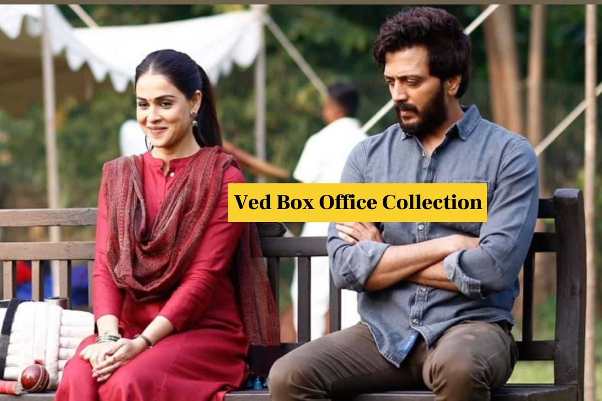 Ved Box Office Collection : 'वेड' लढवतोय बॉक्स ऑफिसची यशस्वी खिंड! 2 ...