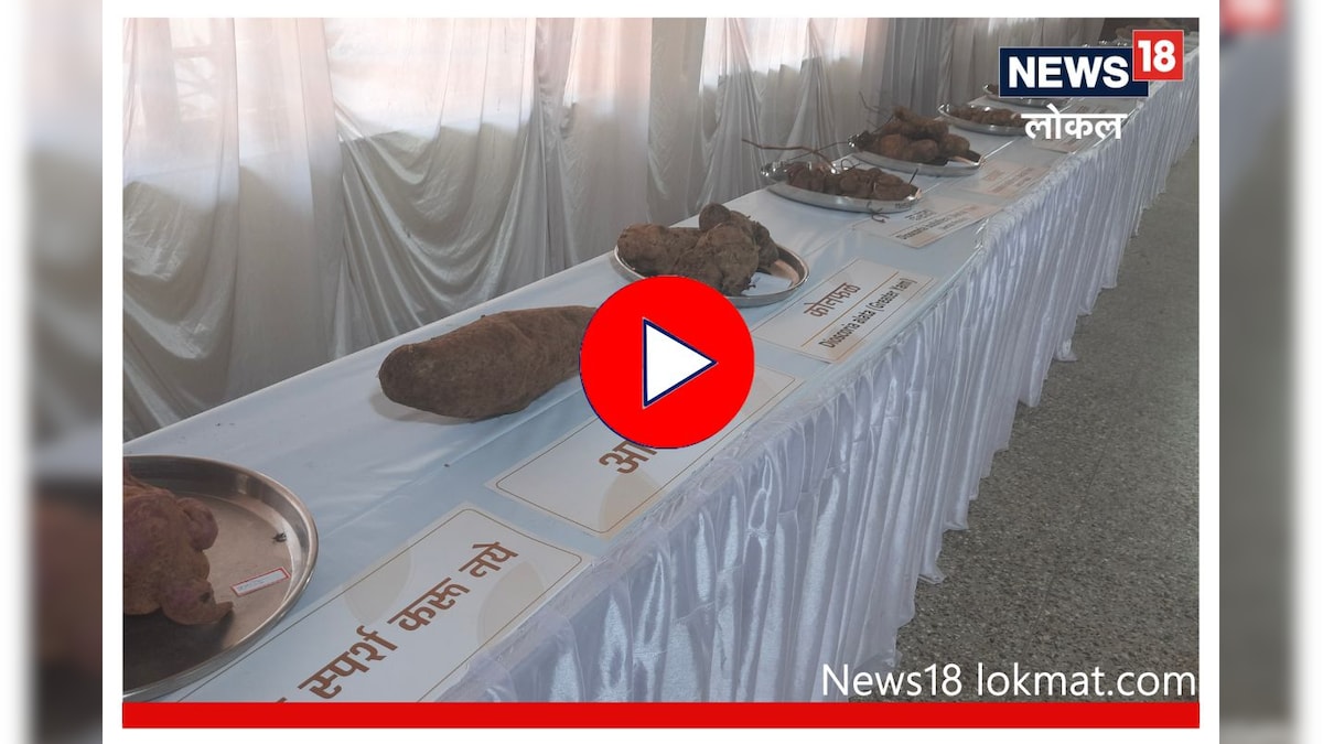 Kolhapur : जंगलातील मेवा शहरात, कंदमूळ उत्सवात पाहा 60 दुर्मीळ प्रकार ...