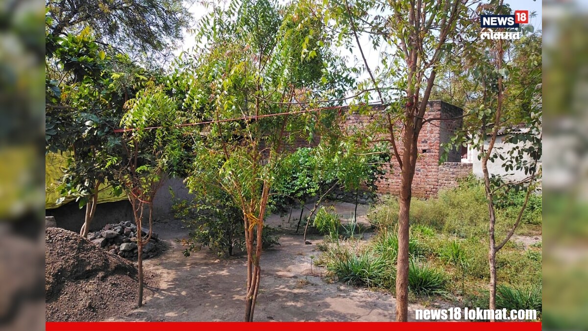 planted 1500 trees in takalshing village Beed : तरुणाईच्या टीमवर्कचा ...