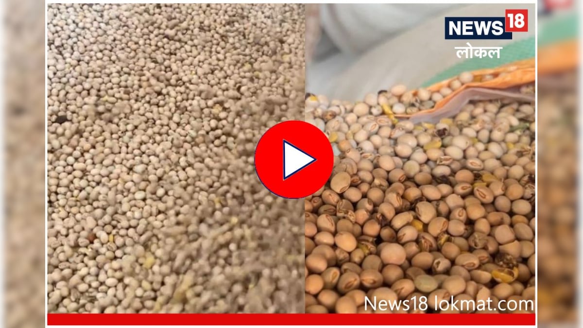 farmers-in-beed-are-benefiting-from-increased-demand-for-white-tur-from ...